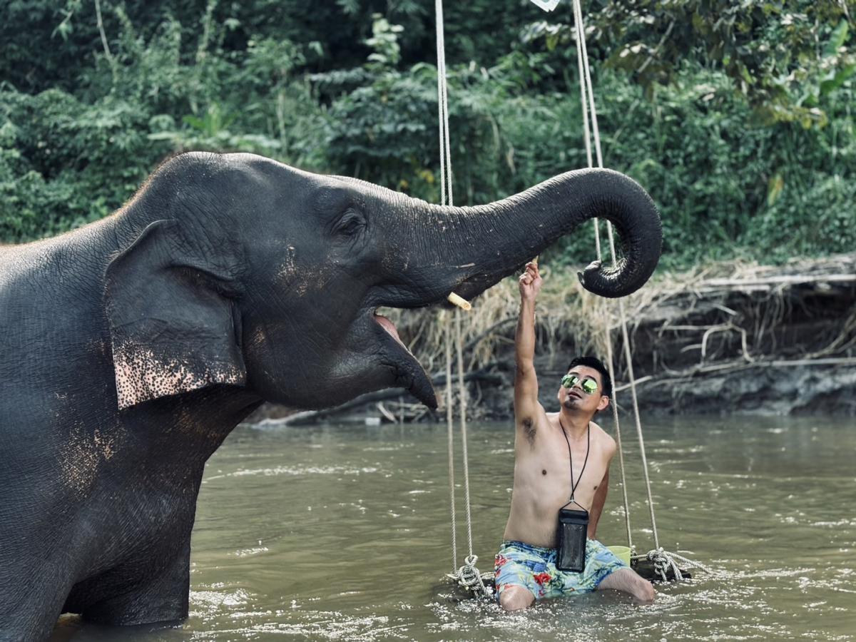 Elephant Sanctuary, Waterfall & Bamboo Rafting : Elephant ChiangMai ...