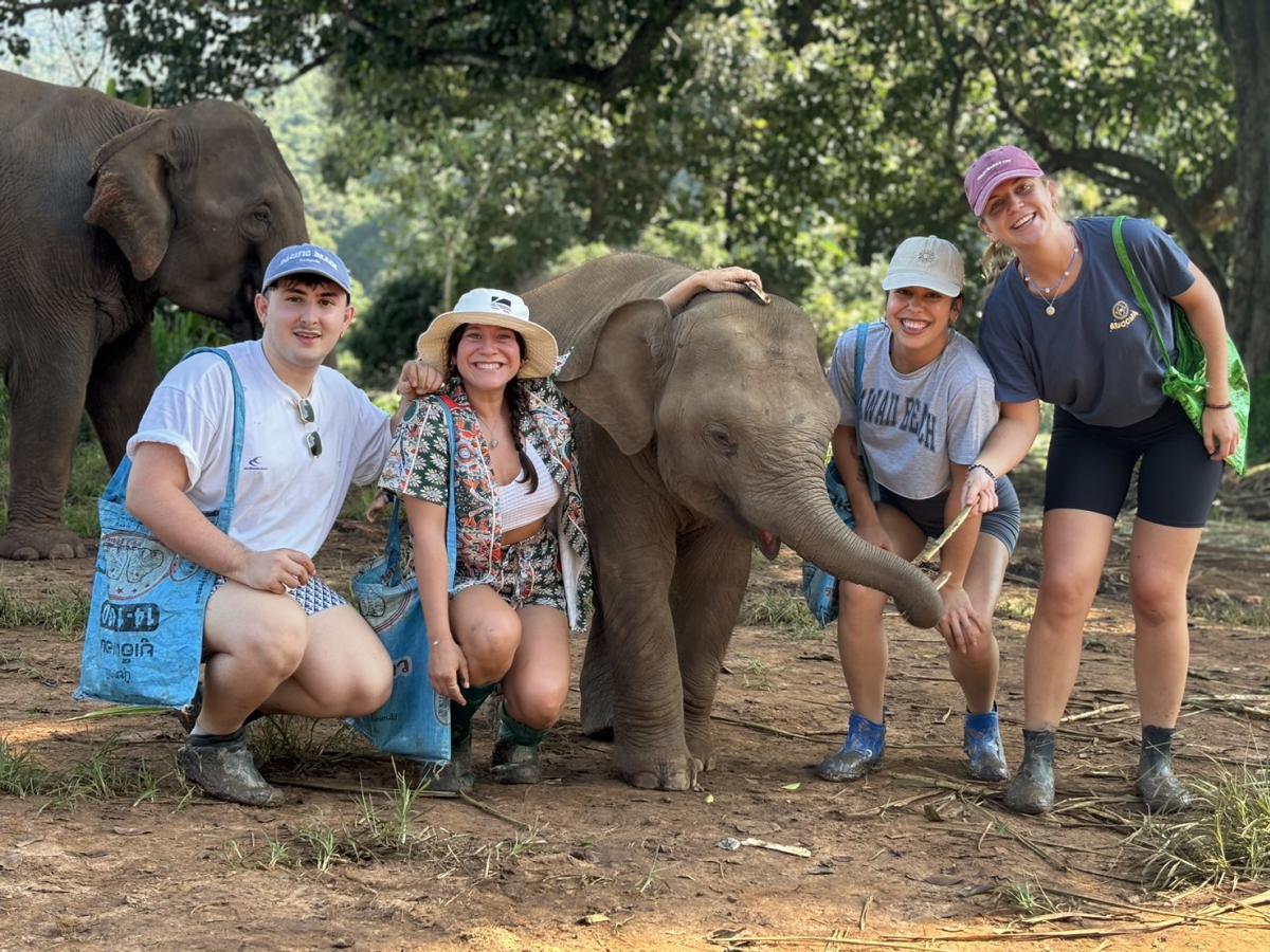Elephant Sanctuary - Waterfall - Bamboo Rafting : Elephant ChiangMai ...
