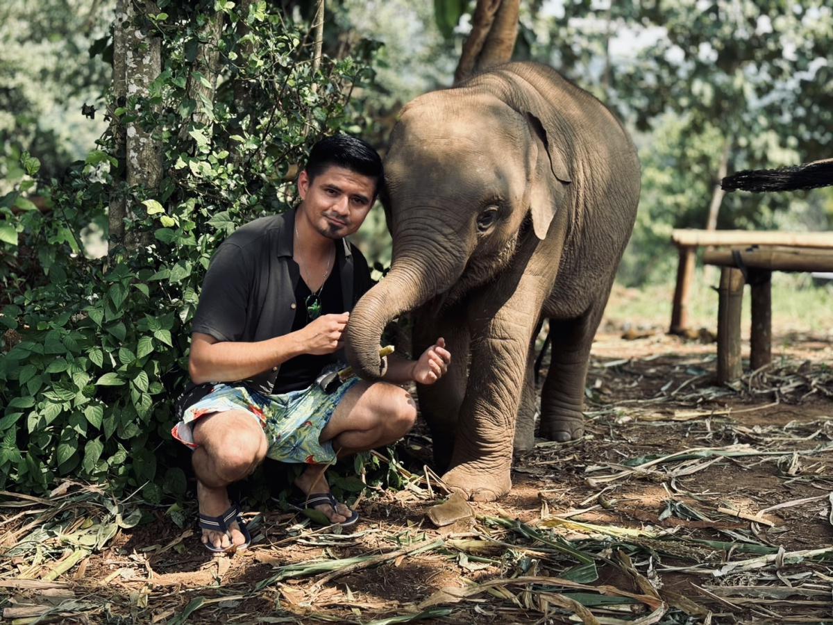 Elephant Sanctuary, Waterfall & Bamboo Rafting : Elephant ChiangMai ...