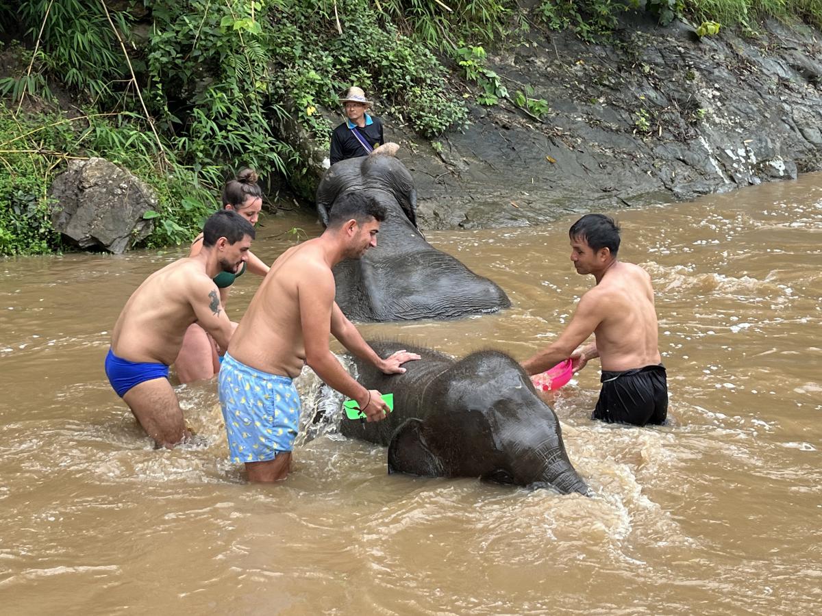 Elephant Sanctuary - Waterfall - Bamboo Rafting : Elephant ChiangMai ...