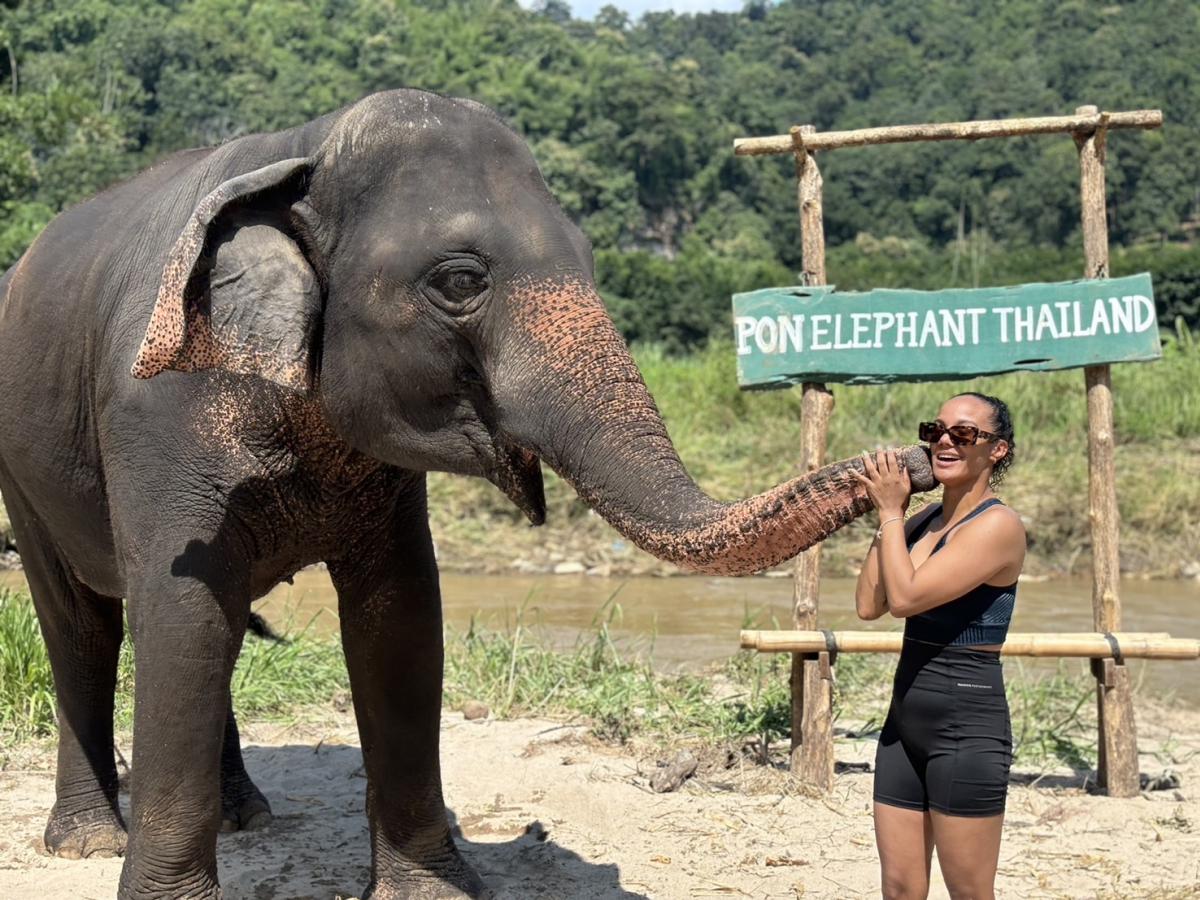 Doi Inthanon National Park - Elephant Sanctuary : Elephant ChiangMai ...