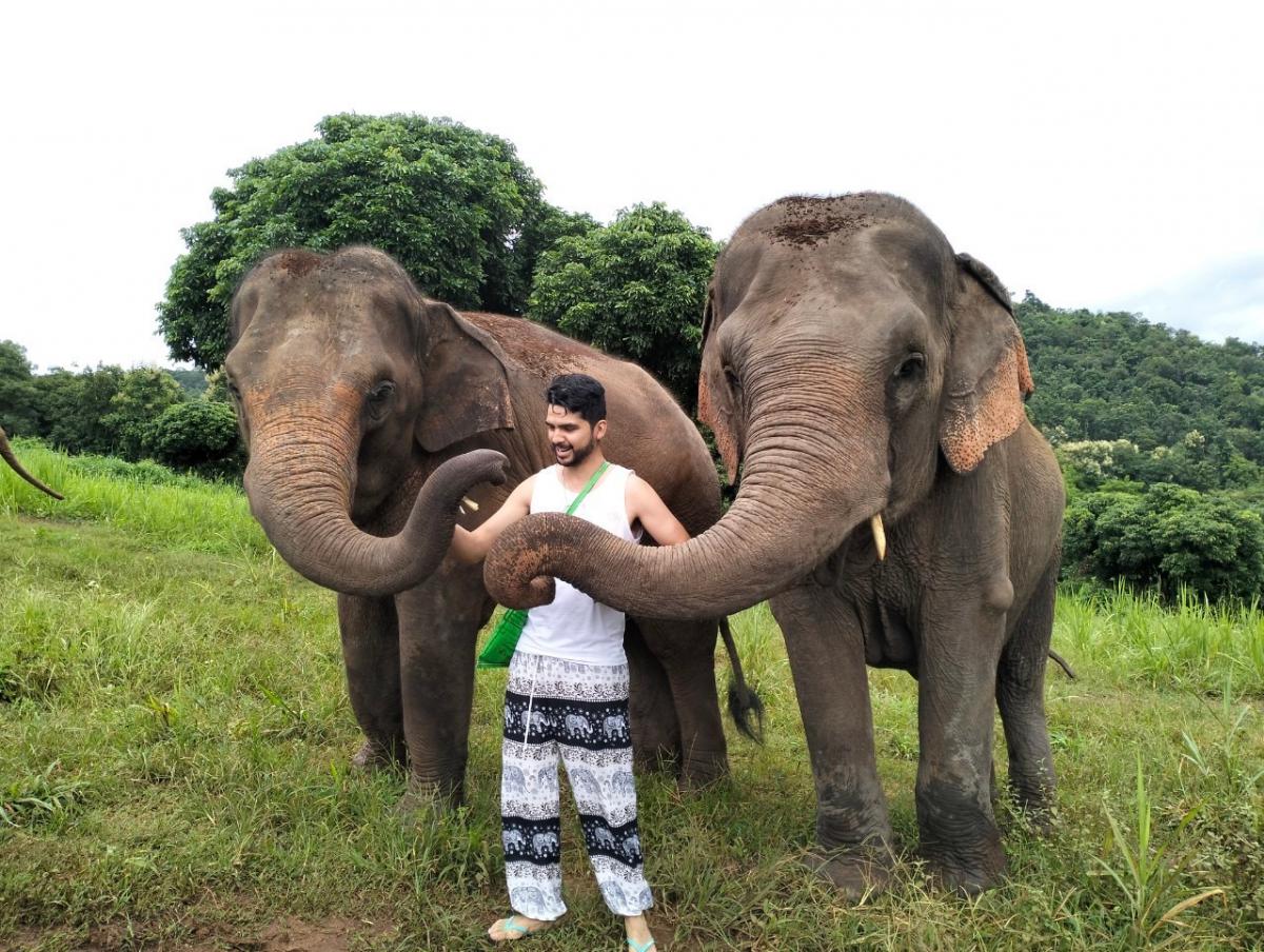 Elephant Sanctuary - Monk Trail - Doi Suthep Tour : Elephant ChiangMai ...