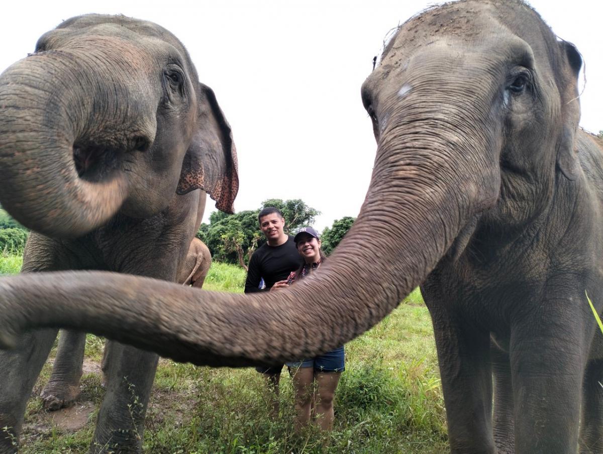 Elephant Sanctuary - Monk Trail - Doi Suthep Tour : Elephant ChiangMai ...