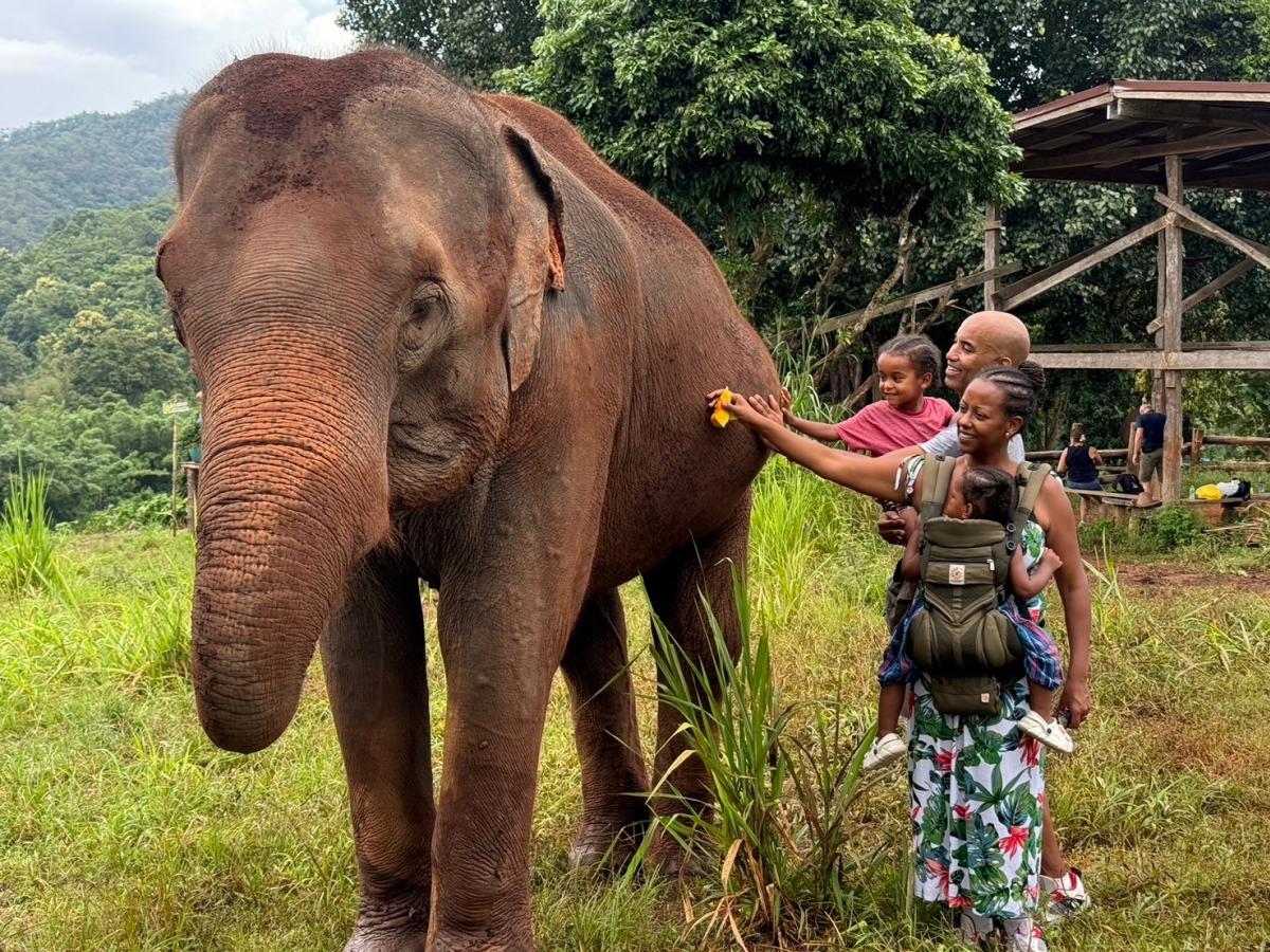 Elephant Sanctuary - Monk Trail - Doi Suthep Tour : Elephant ChiangMai ...
