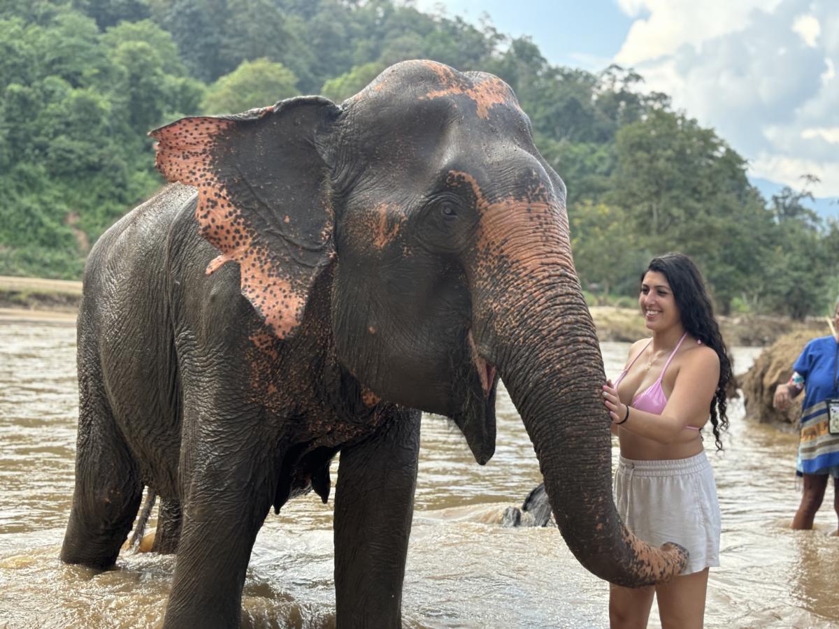 Elephant Sanctuary, Long Neck & Sticky Waterfall Tour : PON ELEPHANT ...