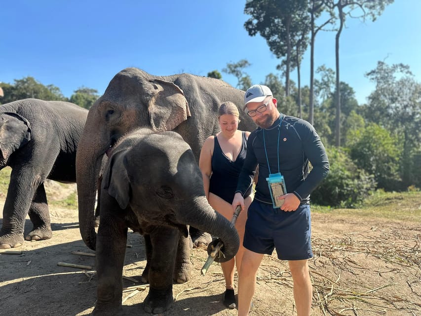 Chiang Mai 2-Day: Good Morning Elephant Trip with Homestay : Elephant ...